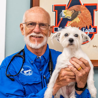 Meet Our Veterinary Team at Wolfe Animal Hospital in Jesup
