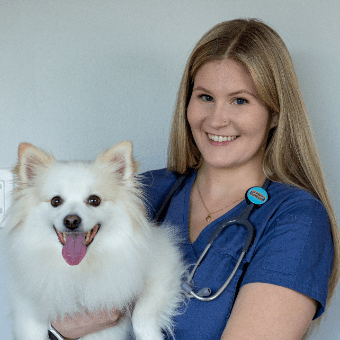 Meet Our Team at Burlington Veterinary Emergency & Referral Hospital ...