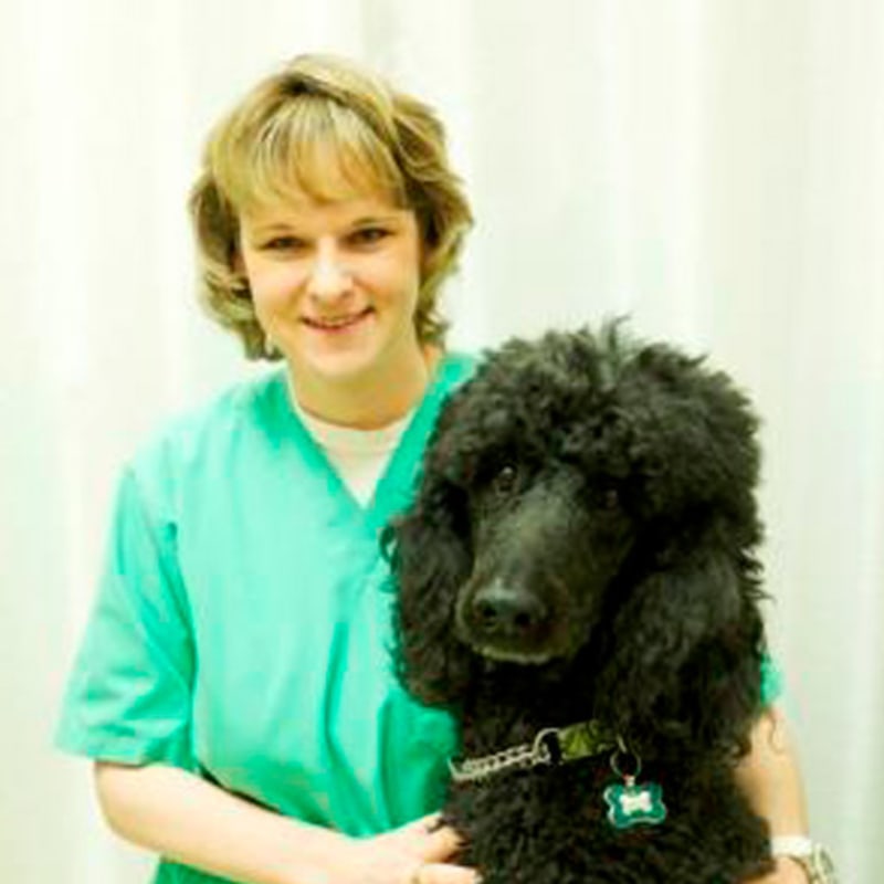 Meet Dr. Carla, Lethbridge Veterinarian