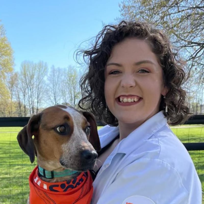 Meet Lynsie Bell, Manchester Veterinary Technician