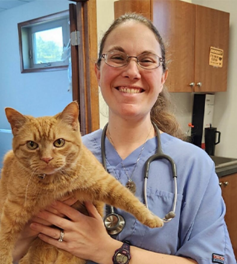 Meet Dr. Krista Pike, Pine Grove Veterinarian