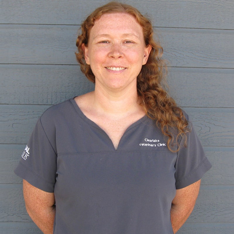Meet Tiffany, Clearlake Veterinary Assistant