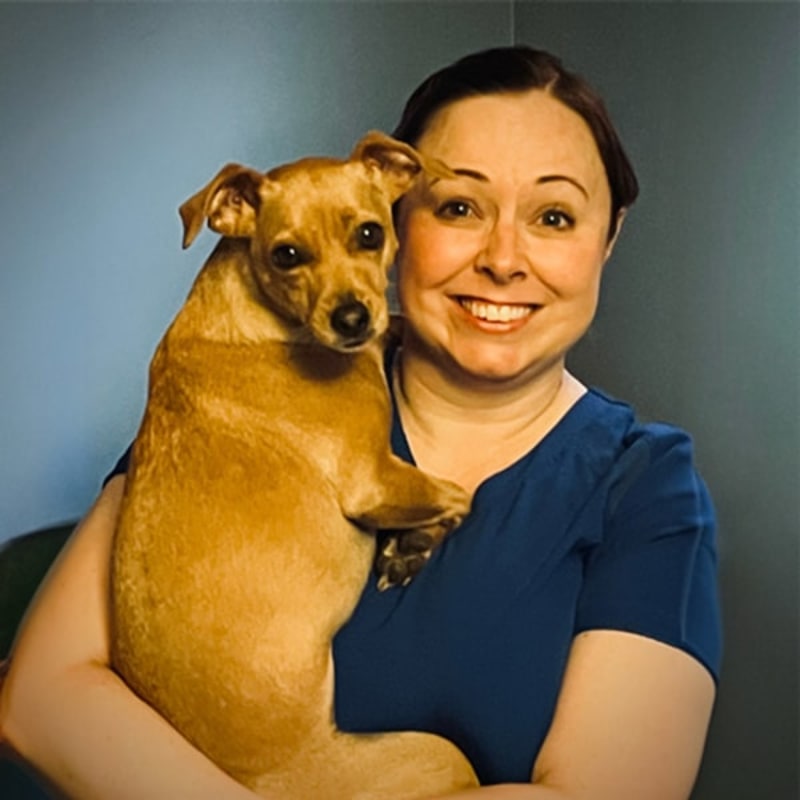 Meet Dr. Jen Perret, Halifax Veterinarian