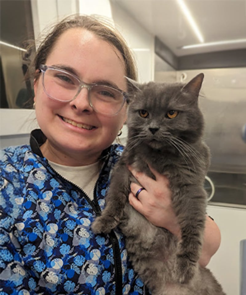 Meet Emily, Orlando Pet Stylist