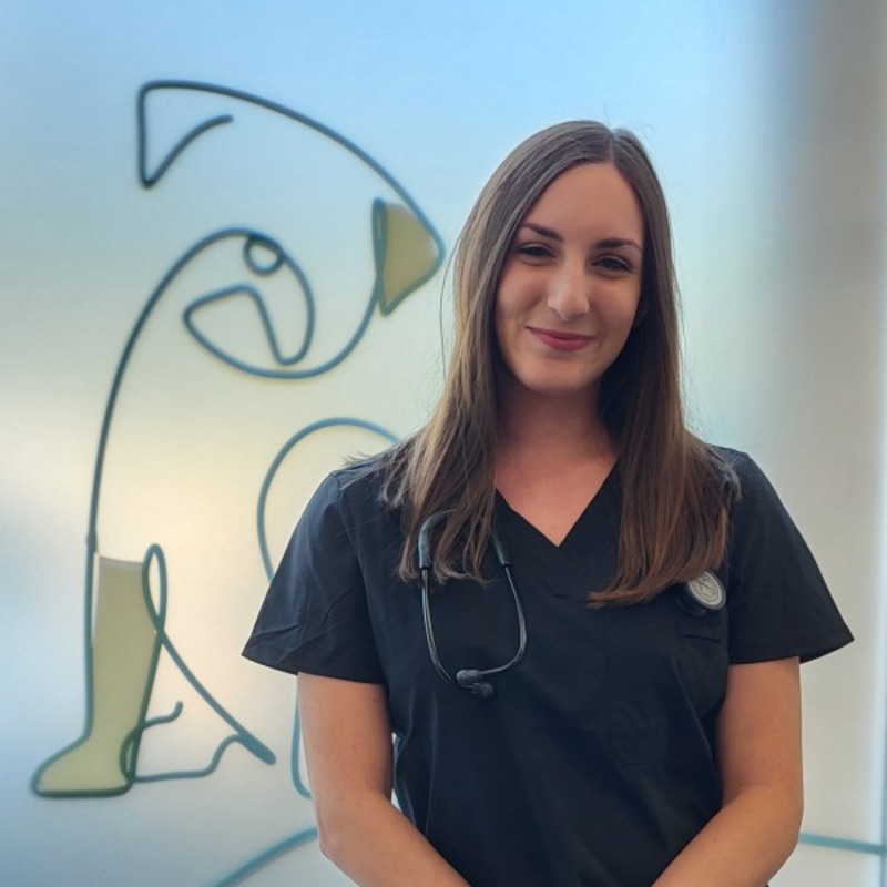 Dr. Maria-Rosa Alaimo, Barrie Veterinarian