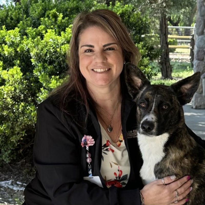 Meet Rebecca Goodrich, Taylor Veterinary Emergency Hospital Manager