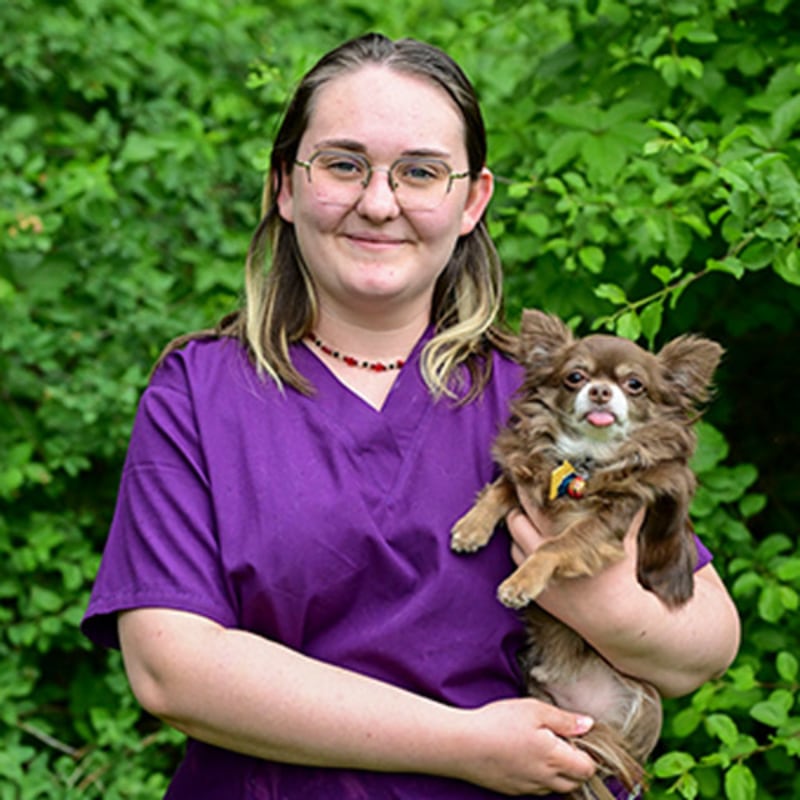 Airika, New Hope Animal Hospital